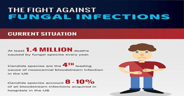 The Fight Against Fungal Infections Infographic Infographics ...