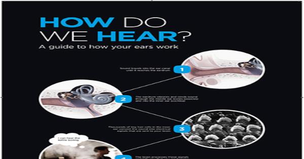 How Do We Hear - A guide to how your ears work Infographic Infographics ...