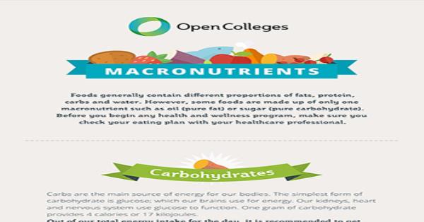 Macronutrients Infographic Infographics | Medicpresents.com