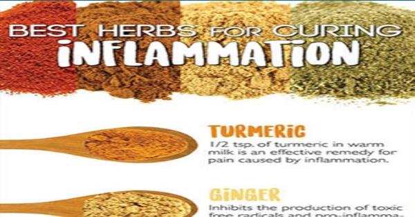 Best Herbs for Curing Inflammation Infographic Infographics ...