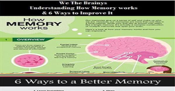 Understanding How Memory Works and 6 Ways to Improve It Infographic ...