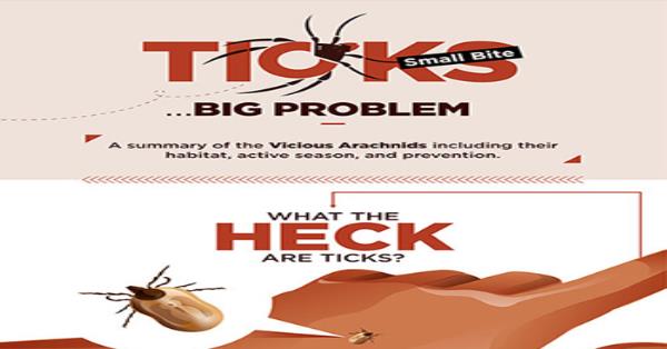 Ticks - Small Bite but Big Problem Infographic Infographics ...