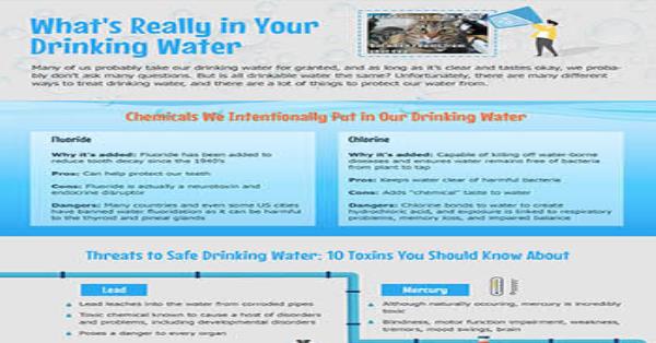 Whats Really in Your Drinking Water Infographic Infographics ...