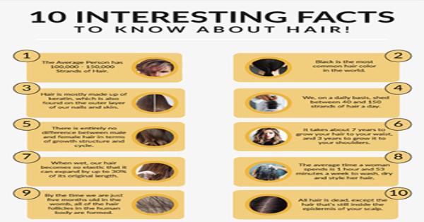 10 Interesting Facts to Know About Hair Infographic Infographics ...