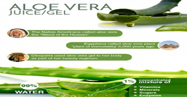 Aloe Vera Juice and Gel Infographic Infographics | Medicpresents.com