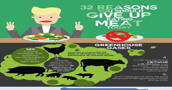 32 Reasons You Should Give Up Eating Meat Today Infographic ...