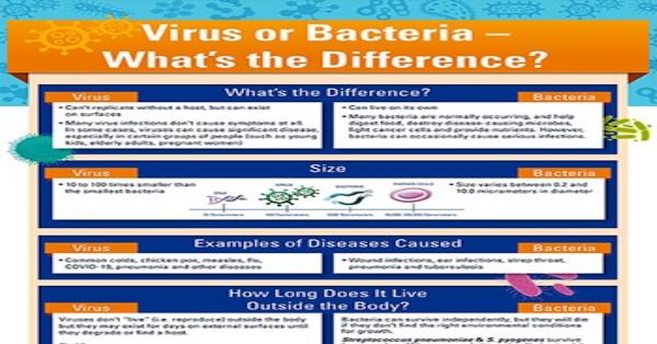 Difference Between Virus and Bacteria Infographic Infographics | Medicpresents.com