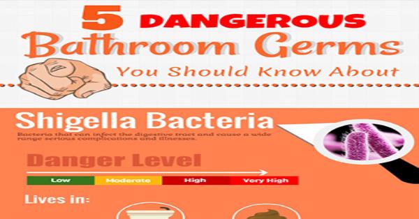 5 Dangerous Bathroom Germs You Should Know About Infographic ...