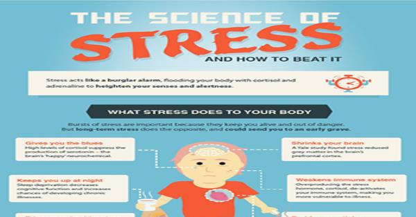 The Science of Stress and How To Beat It Infographic Infographics ...