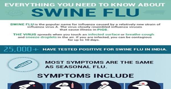 Everything You Need To Know About Swine Flu Infographic Infographics ...