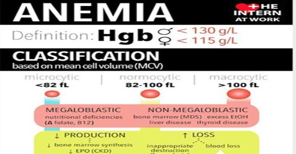 Anemia Infographic Infographics | Medicpresents.com