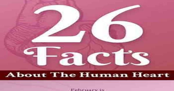26 Facts About The Human Heart Infographic Infographics | Medicpresents.com