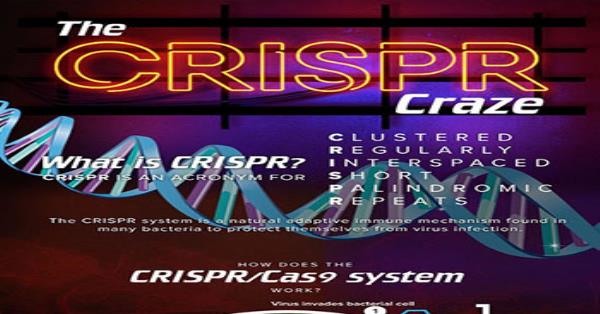 The CRISPR Craze - New Frontiers in Gene Editing Infographic ...