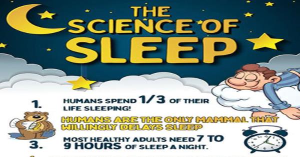 The Science of Sleep Infographic Infographics | Medicpresents.com