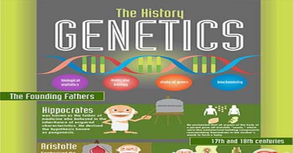 The History of Genetics Infographic Infographics | Medicpresents.com