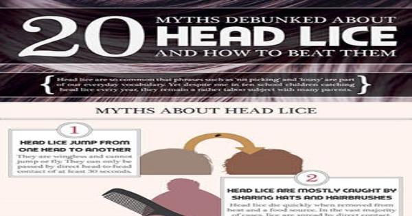 20 Myths Debunked About Head Lice and How to Beat Them Infographic ...