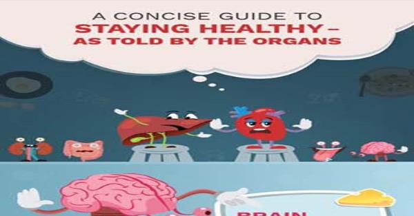 A Concise Guide to Staying Healthy - As Told By Organs Infographic