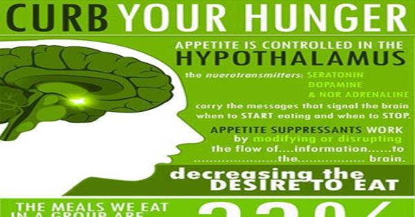 Curb Your Hunger – Appetite is Controlled in the Hypothalamus ...