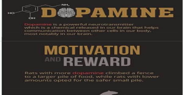 Dopamine Infographic Infographics | Medicpresents.com