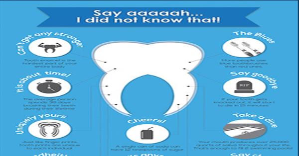 Facts About Your Teeth You Did Not Know Infographic Infographics ...