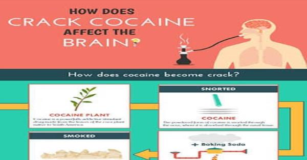 How Does Crack Cocaine Affect the Brain Infographic Infographics ...