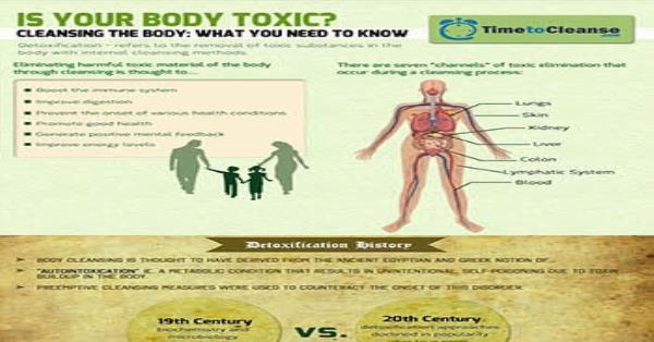 Is Your Body Toxic Infographic Infographics | Medicpresents.com
