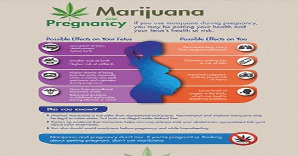 Marijuana and Pregnancy infographic Infographics | Medicpresents.com