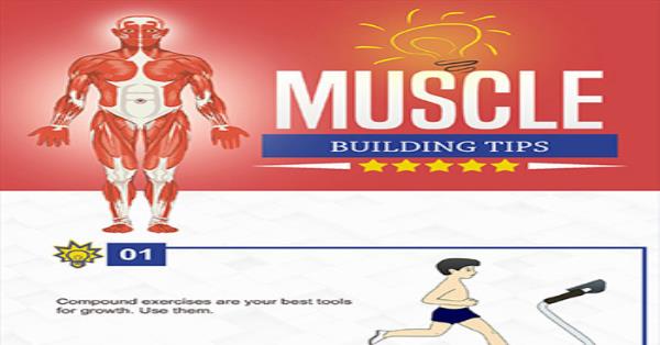 Muscle Building Tips Infographic Infographics | Medicpresents.com