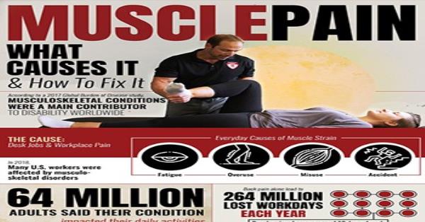 Muscle Pain - What Causes It and How To Fix It Infographic Infographics ...