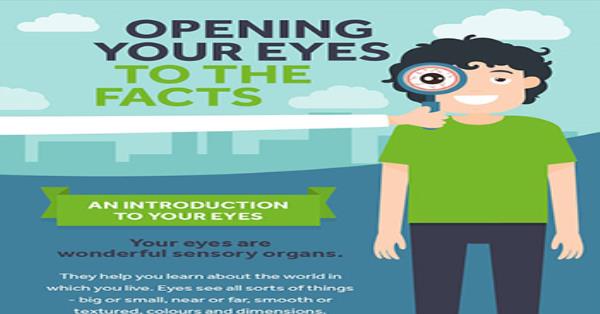 Opening Your Eyes to the Facts – An Introduction to Your Eyes Infographic