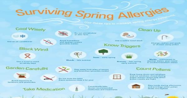 Surviving Spring Allergies Infographic Infographics | Medicpresents.com