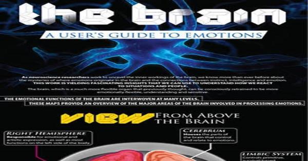 The Brain - A User’s Guide to Emotions Infographic Infographics ...