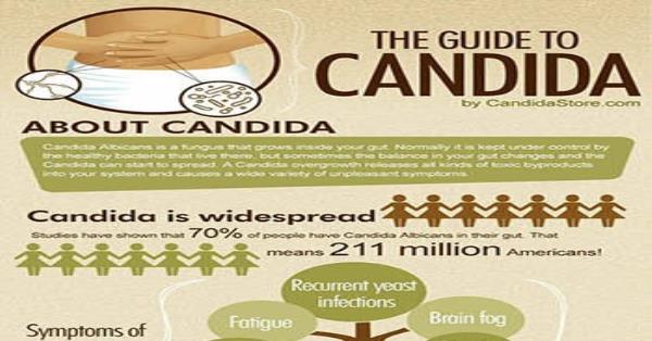 The Guide To Candida Infographic Infographics | Medicpresents.com
