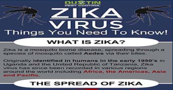Things You Need to Know About Zika Virus Infographic Infographics ...
