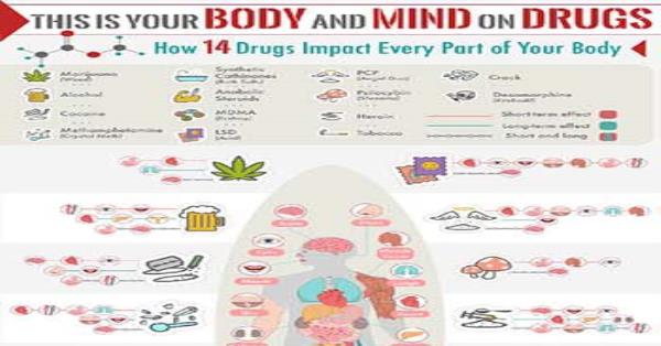 This is Your Body and Mind on Drugs Infographic Infographics ...