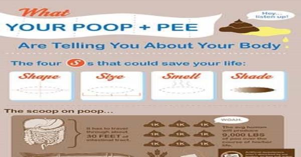 What Your Poop and Pee Are Telling Infographic Infographics ...