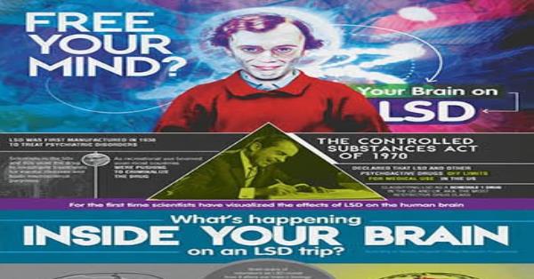 What’s Happening Inside Your Brain on An LSD Trip Infographic ...