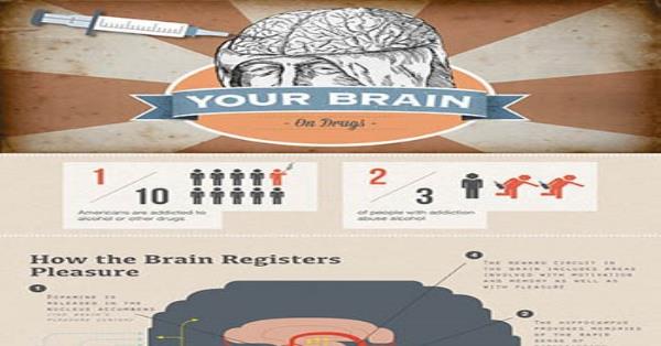 Your Brain On Drugs Infographic Infographics | Medicpresents.com
