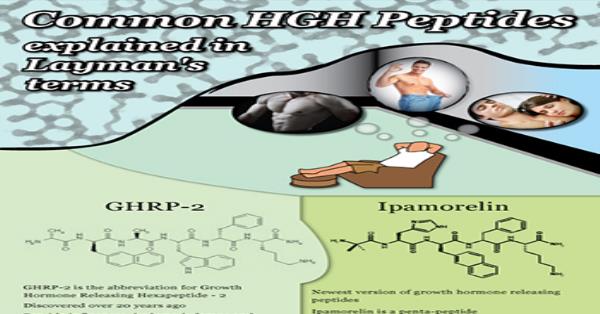 Common HGH Peptides Explained in Laymans Term Infographic Infographics ...