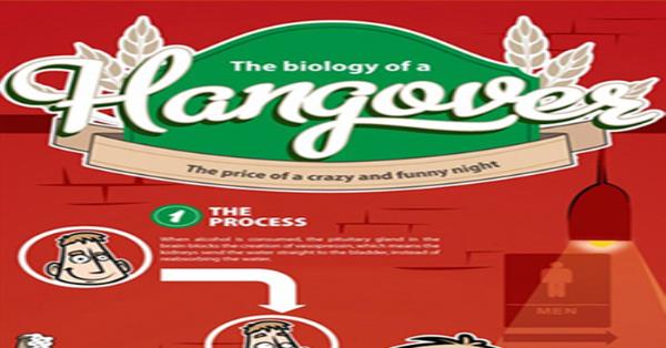The Biology of a Hangover Infographic Infographics | Medicpresents.com