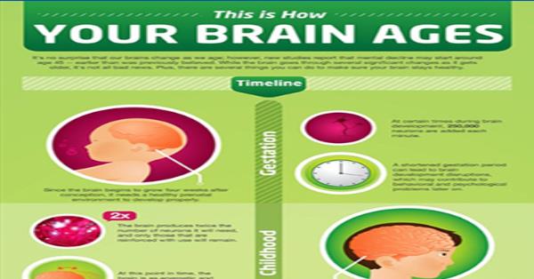 This is How Your Brain Ages Infographic Infographics | Medicpresents.com