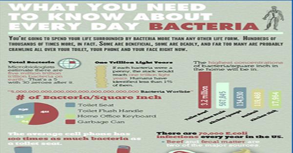 What You Need to Know About Everyday Bacteria Infographic Infographics | Medicpresents.com