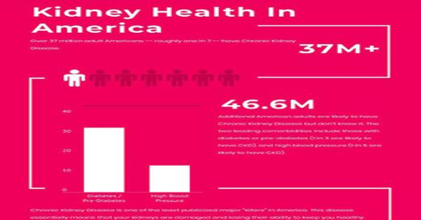 Kidney Health in America Infographic Infographics | Medicpresents.com
