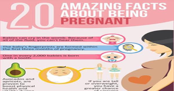 20 Amazing Facts About Being Pregnant Infographic Infographics ...