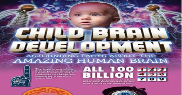 Child Brain Development Infographic Infographics | Medicpresents.com