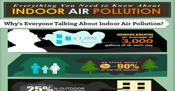 Everything You Need to Know About Indoor Air Pollution Infographic ...