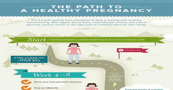 The Path to a Healthy Pregnancy Infographic Infographics ...