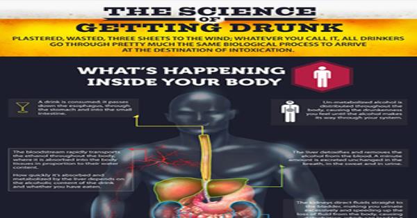 The Science of Getting Drunk Infographic Infographics | Medicpresents.com