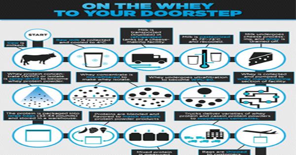 Protein Powder - On the Whey to Your Doorstep Infographic Infographics ...