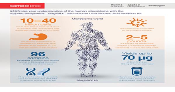 MAXimize Your Understanding of the Human Microbiome Infographic ...